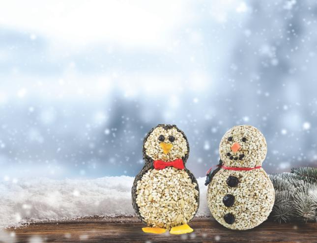 Wild Birds Unlimited - Nature Shop